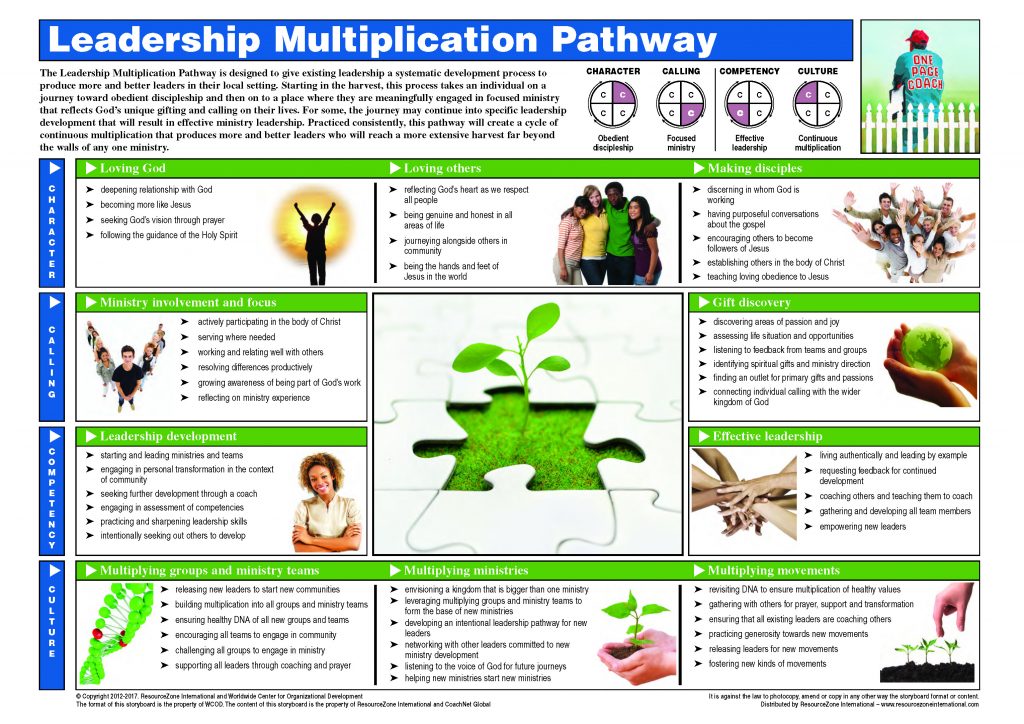 Leadership Multiplication Pathway: Storyboard - InFocus